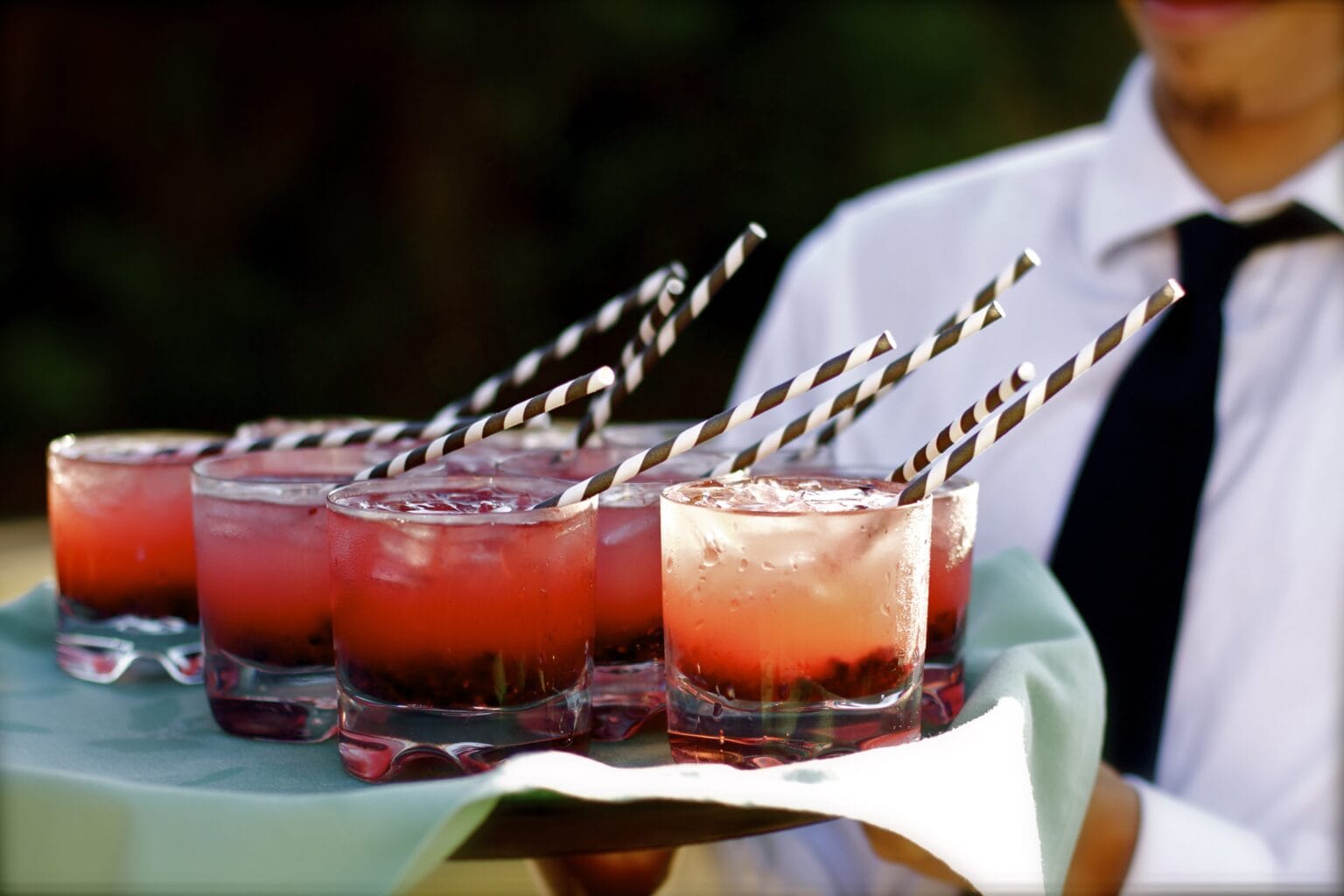 Party Bartending Services - Birthdays & Special Events,